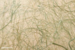 VIDA EN NIPPON | What is Japanese Washi Paper?