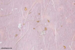 VIDA EN NIPPON | What is Japanese Washi Paper?