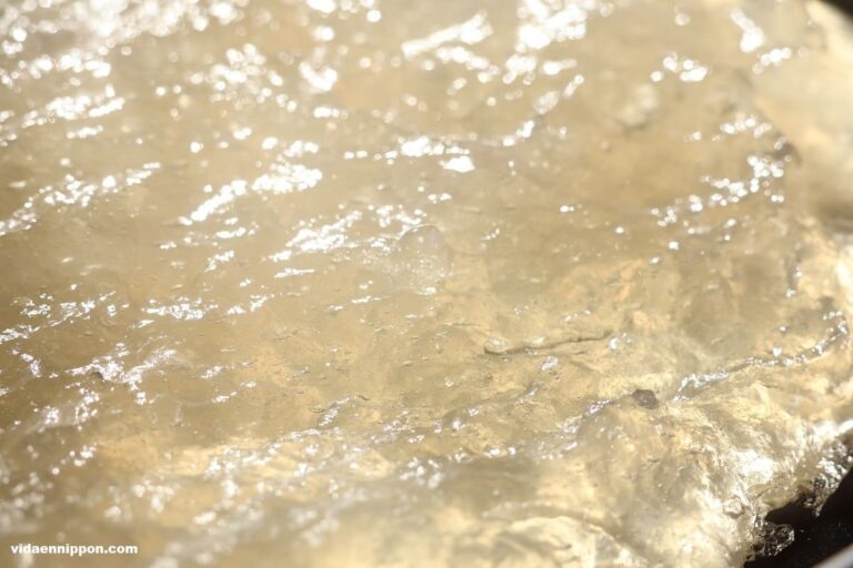 VIDA EN NIPPON | How to Make Kuzumochi : Japanese Dessert Recipe